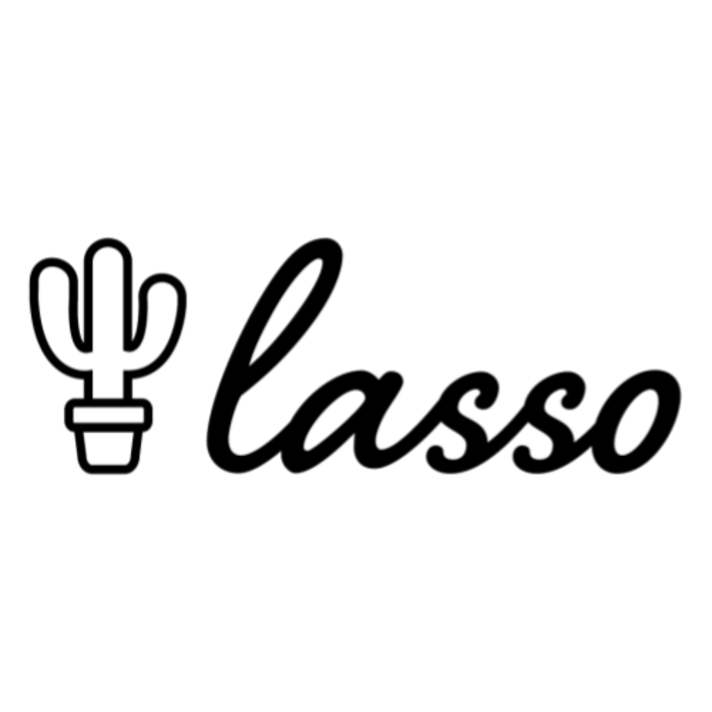 Lasso - about, prices, reviews 2025 - Netolink