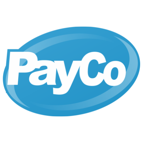 PayCo - about, prices, reviews 2026 - Netolink